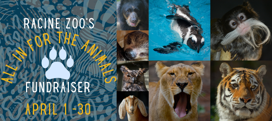 Welcome to the Racine Zoo | racinezoo.org